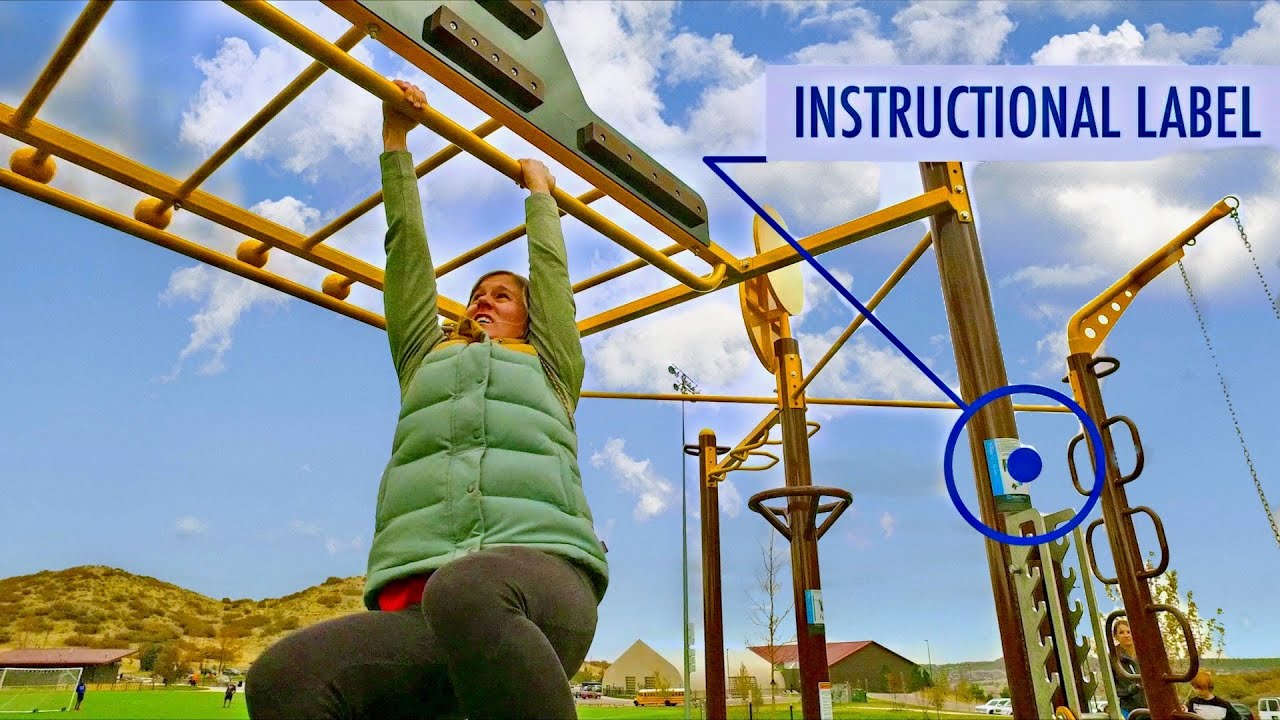 MoveStrong T-Rex Outdoor Equipment Functional Fitness Training Station ...
