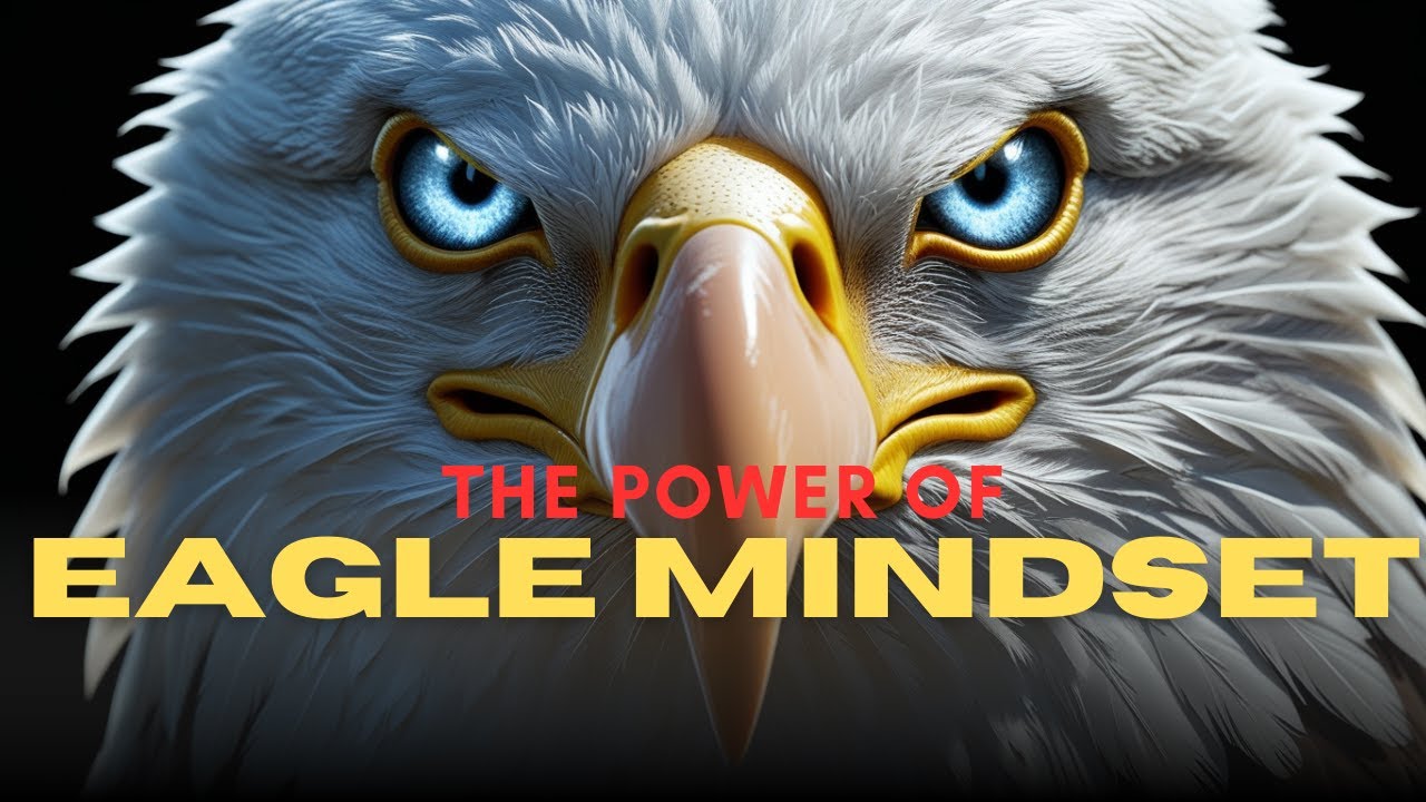 The Power of the Eagle Mindset – How the Eagle Inspires Us to So High ...