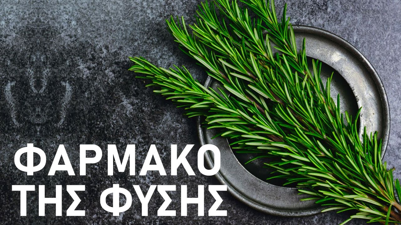 Δεντρολίβανο: Όσα πρέπει να ξέρετε για τις ευεργετικές του ιδιότητες ...