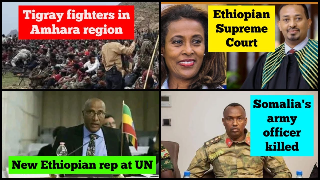 Tigray fighters in Amhara region | Ethiopian Supreme Court | SNA ...