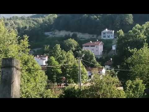 Kırlangıçlar minik yavrularına uçmayı öğretiyor /Bursa, İnegöl, Hacıkara.