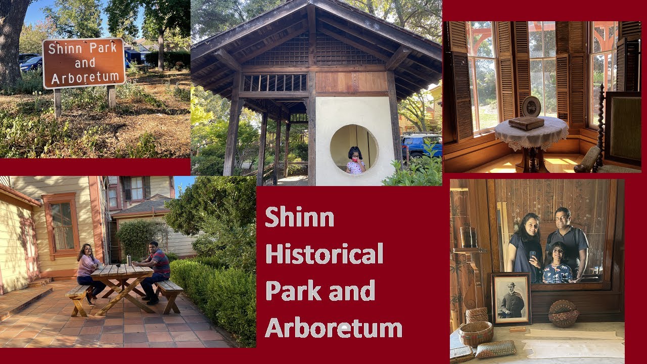 Shinn park🏡 | Shinn House🏠 | Fremont | Tamil Vlog - YouTube
