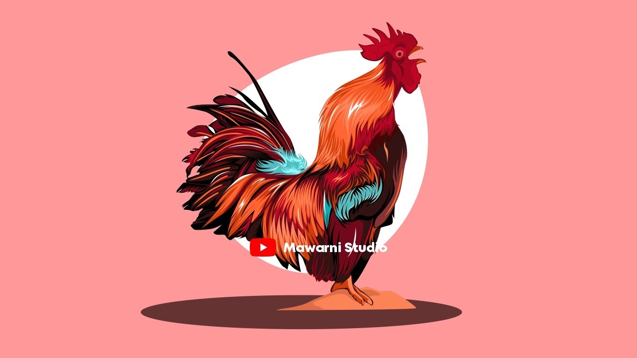 Cara Membuat Gambar Vector Ayam di CorelDRAW - YouTube