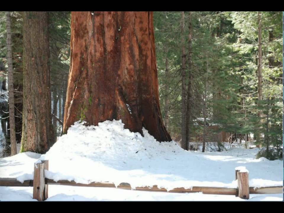 Grounding & Protecting Your Energy Guided Meditation By Lesa Terry ...