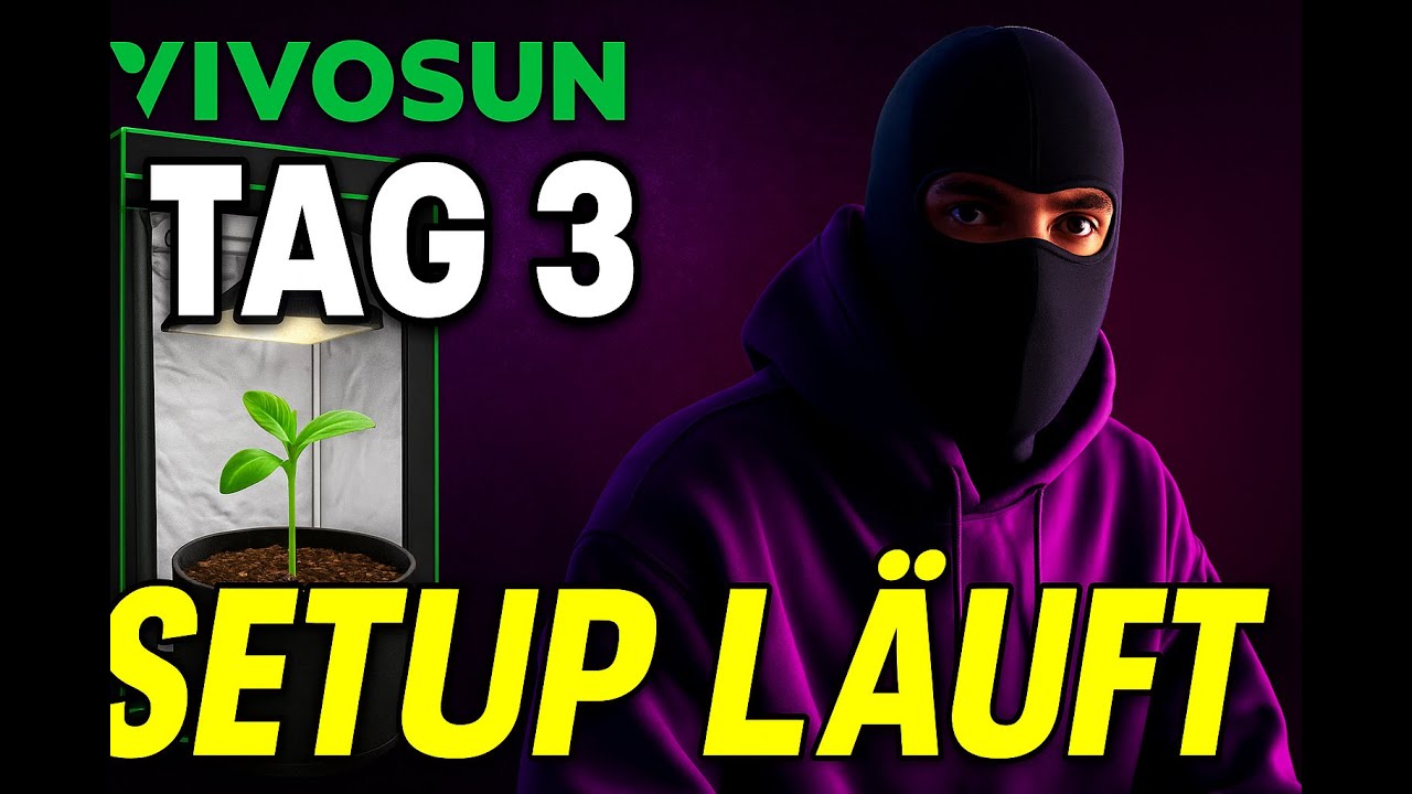 Wilkommen im neuen Vivosun Setup mit Der Gelato Mint Auto im DWC System ...