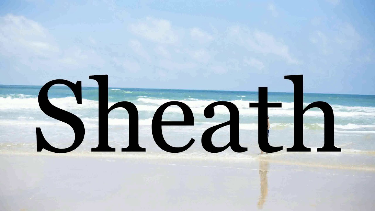 How To Pronounce Sheath🌈🌈🌈🌈🌈🌈Pronunciation Of Sheath - YouTube