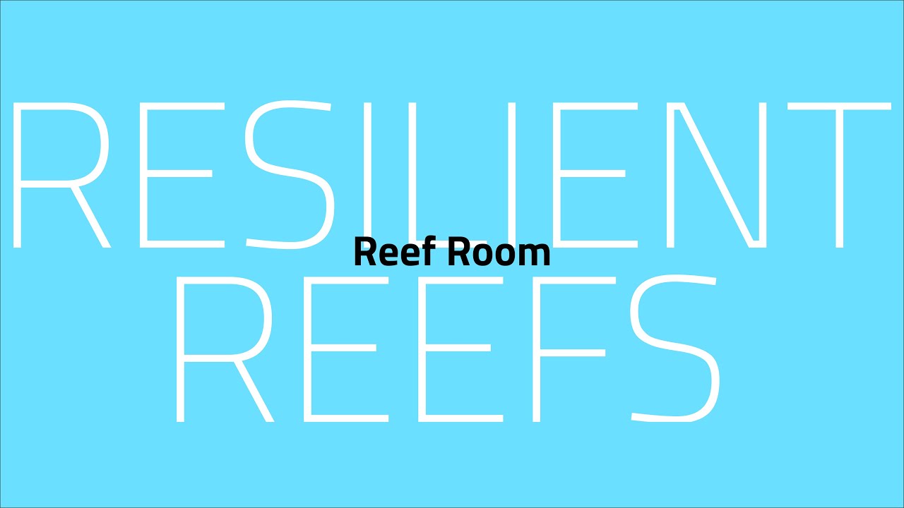 Reef Resilience Symposium - Reef Room - Day 1 - YouTube
