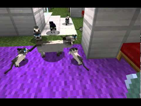 MINECRAFT: My cat house... - YouTube
