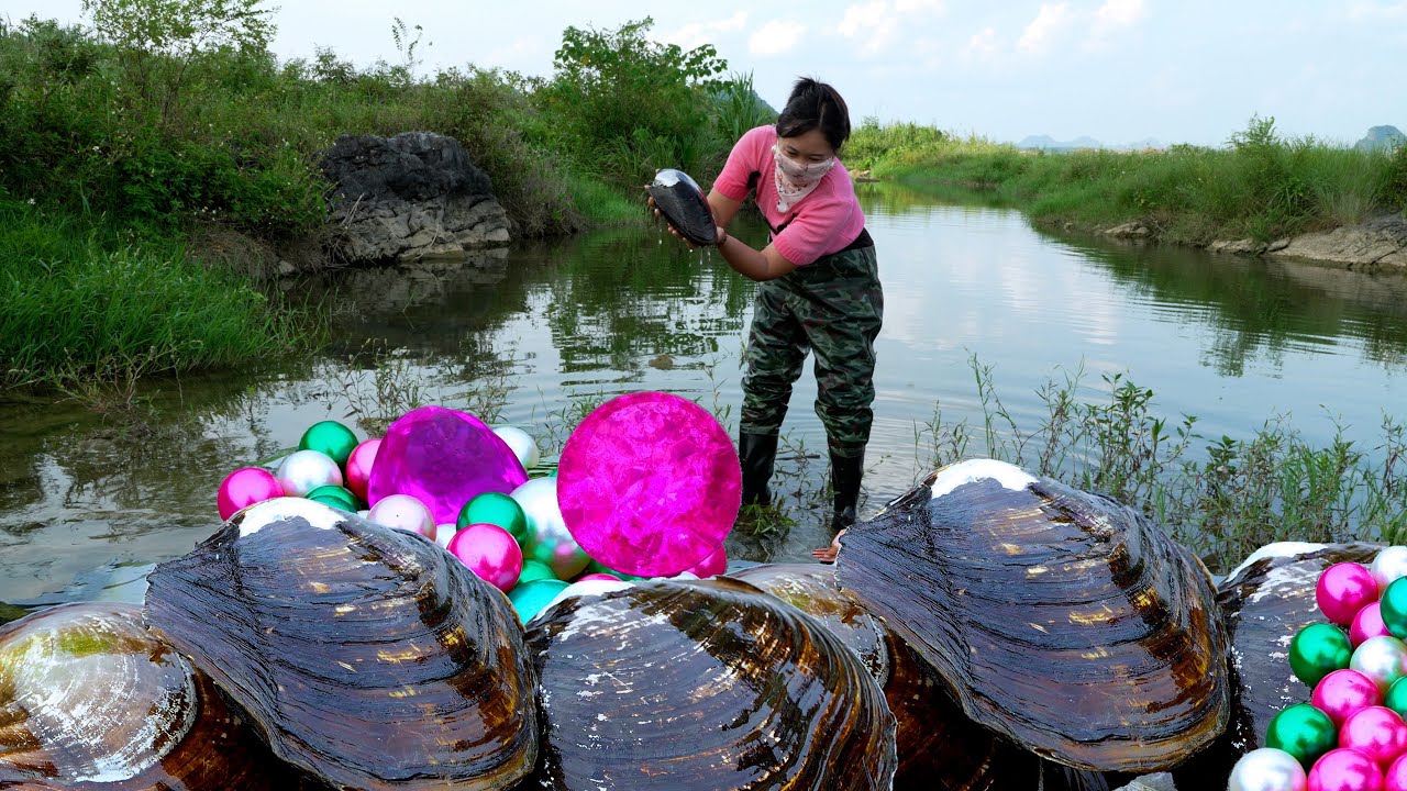 🎁🎁The girl salvaged giant clams from the river and collected high ...