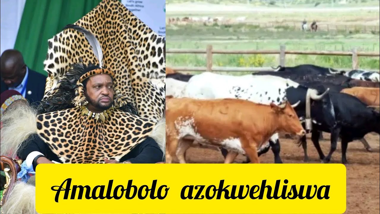amazwi kamisuzulu uthi lizokwehliswa ilobolo - YouTube