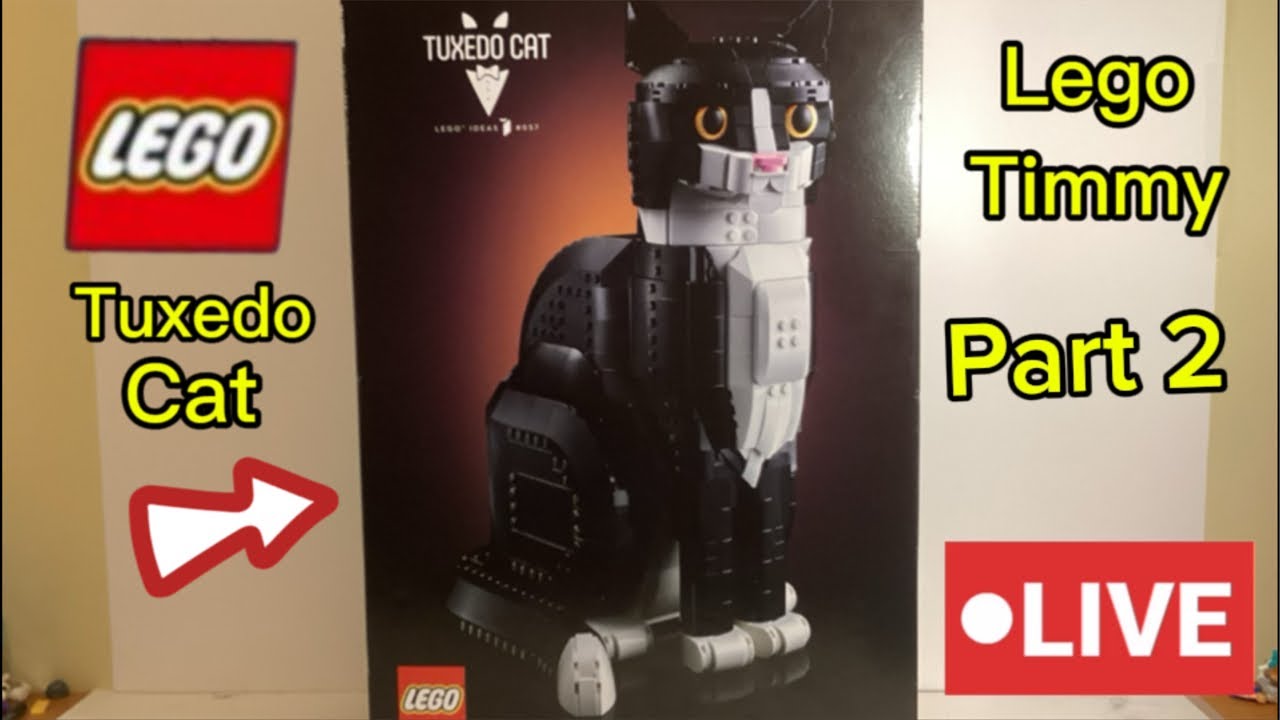 Building the Lego tuxedo cat set live - YouTube