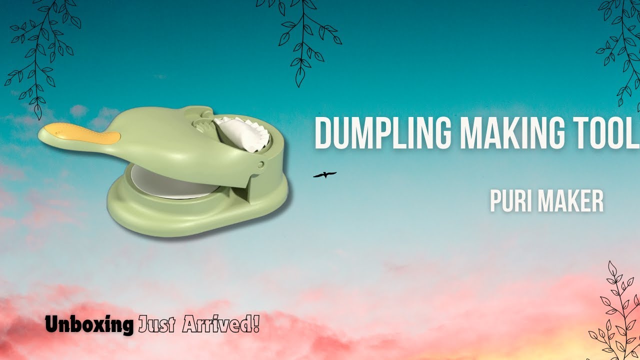 Black Olive 2-in-1 Dumpling Maker: Perfect Dumplings & Momos Every Time ...