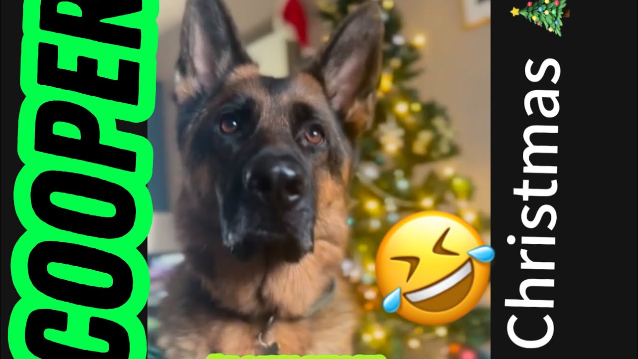 The Absurd Psychology of Christmas - YouTube