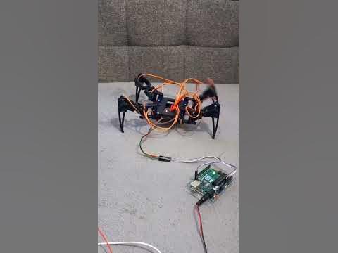 arduino robot spider #arduino #arduinouno #coding #robot #spider - YouTube