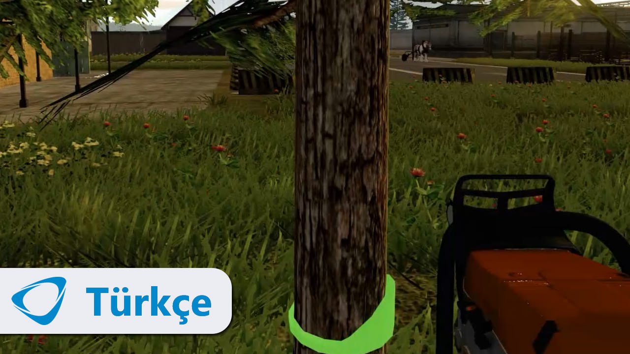 Forestry 2017 The Simulation Türkçe | İlk İzlenim #34 - YouTube