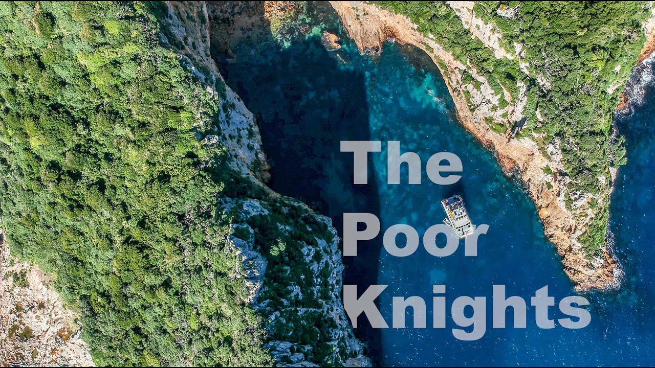 Diving New Zealand | The Poor Knights - YouTube