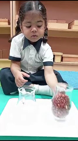 Montessori Practical Life Activity- Pouring by Pre Nursery. - YouTube