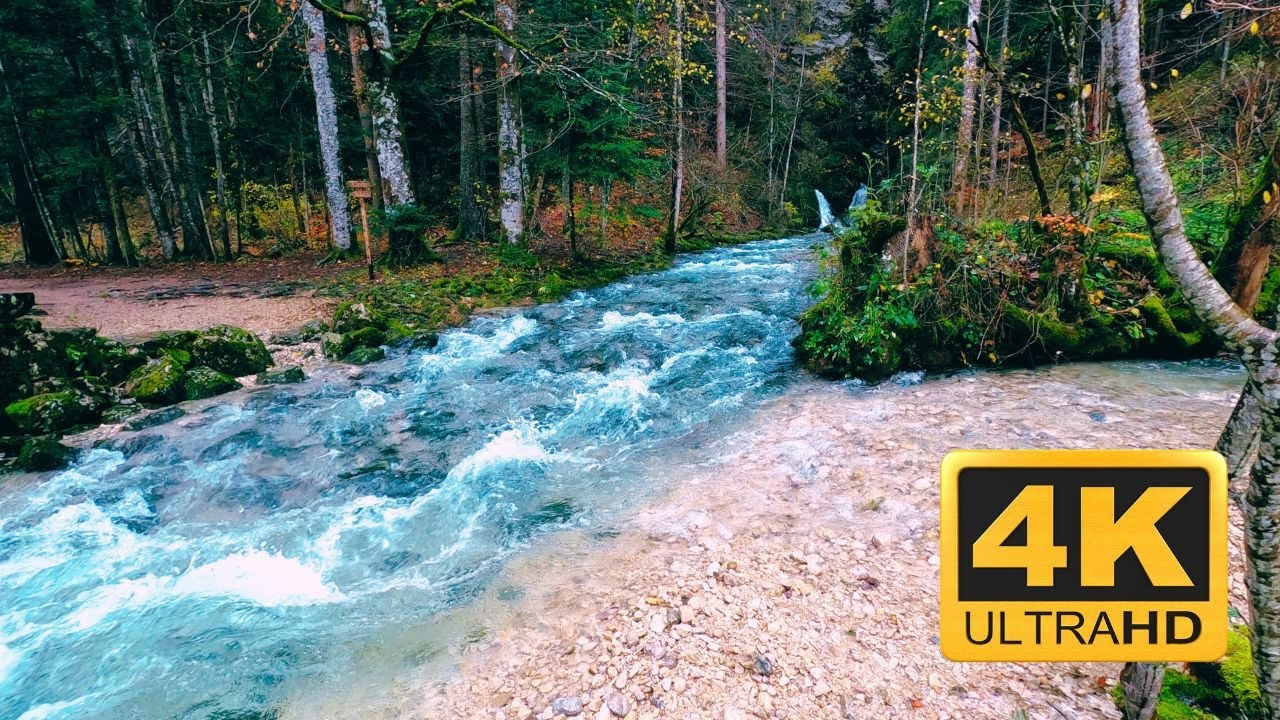 4K FOREST RIVER WATER SOUNDS 🍃 Relaxing Nature Video with ambient sound ...
