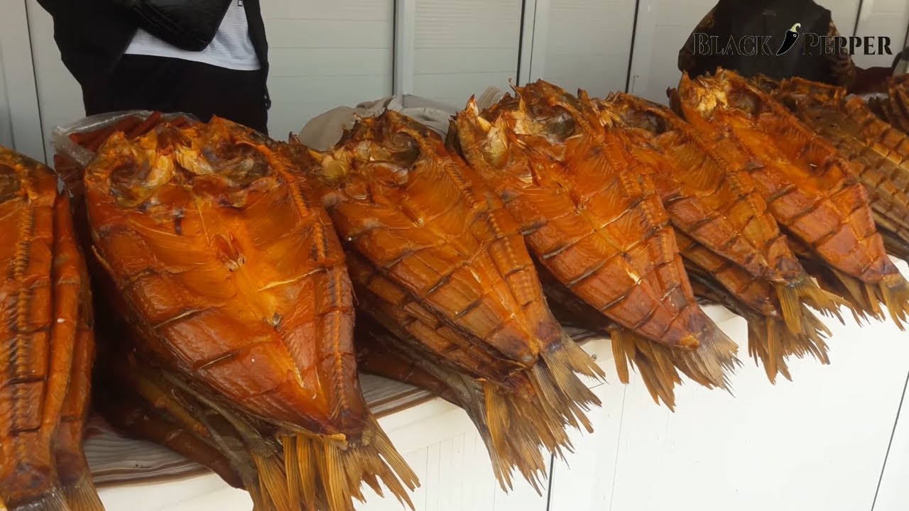One of the longest rivers in Central Asia. Fishing in the Syr Darya ...