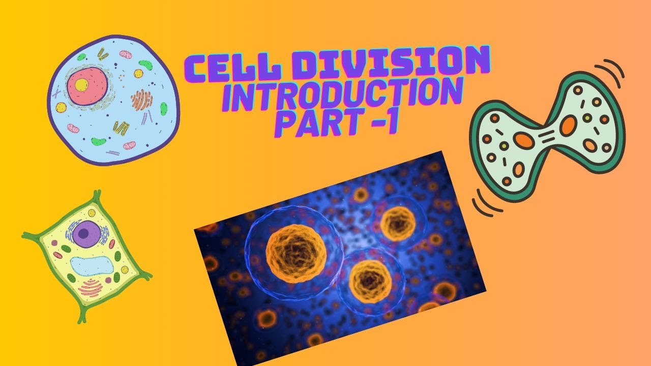 CELL DIVISION Introduction - Part -1 - YouTube