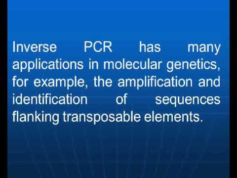 Inverse PCR - YouTube