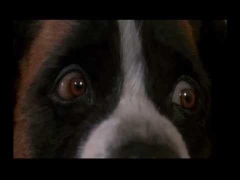 Beethoven (Horror Trailer recut)