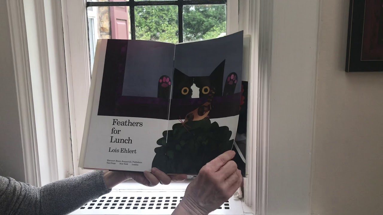 Feathers For Lunch - YouTube