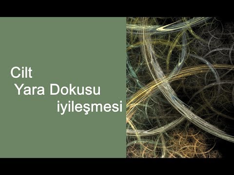 Cilt - Yara (Skar )  Dokusu İyileşmesi