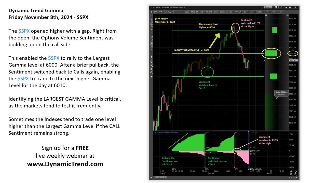 Dynamic Trend 0DTE Options Trading 11-8-24 - YouTube