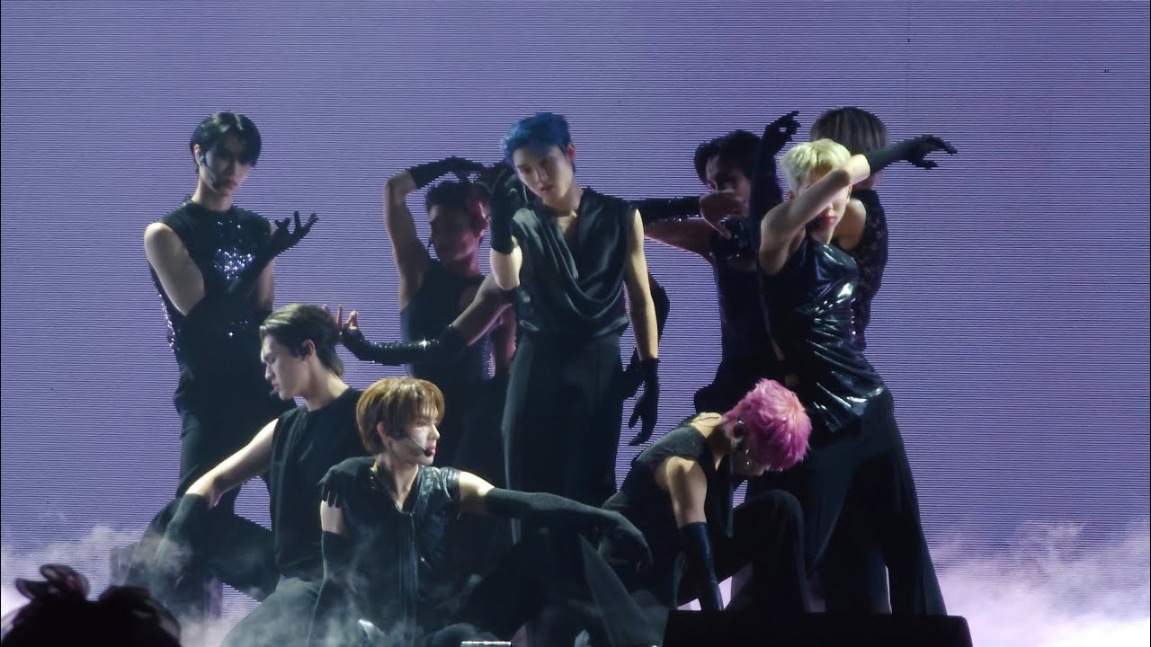 250319 DICE - INTRO + Black Swan | DICE YEAR ONE BIRTHDAY BUT WITH DICE ...