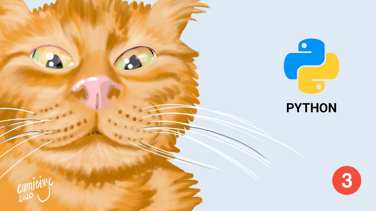 La Fiesta de la Programación - Python PT 3 - YouTube