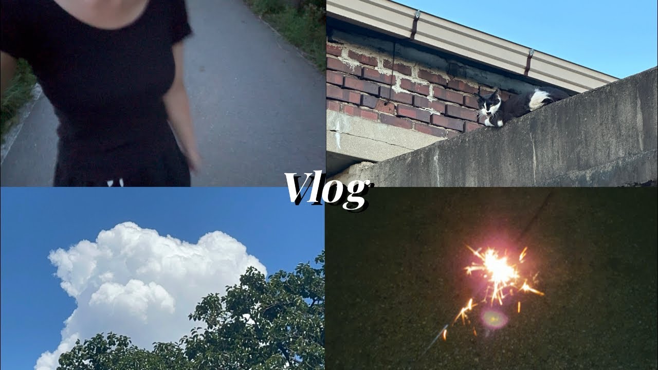 【vlog】 학창시절 마지막 여름방학1 일상 브이로그 고등학생 브이로그 학교 침수 조기방학 롯데월드 애니메이트 워드프로세서 방과후 리포