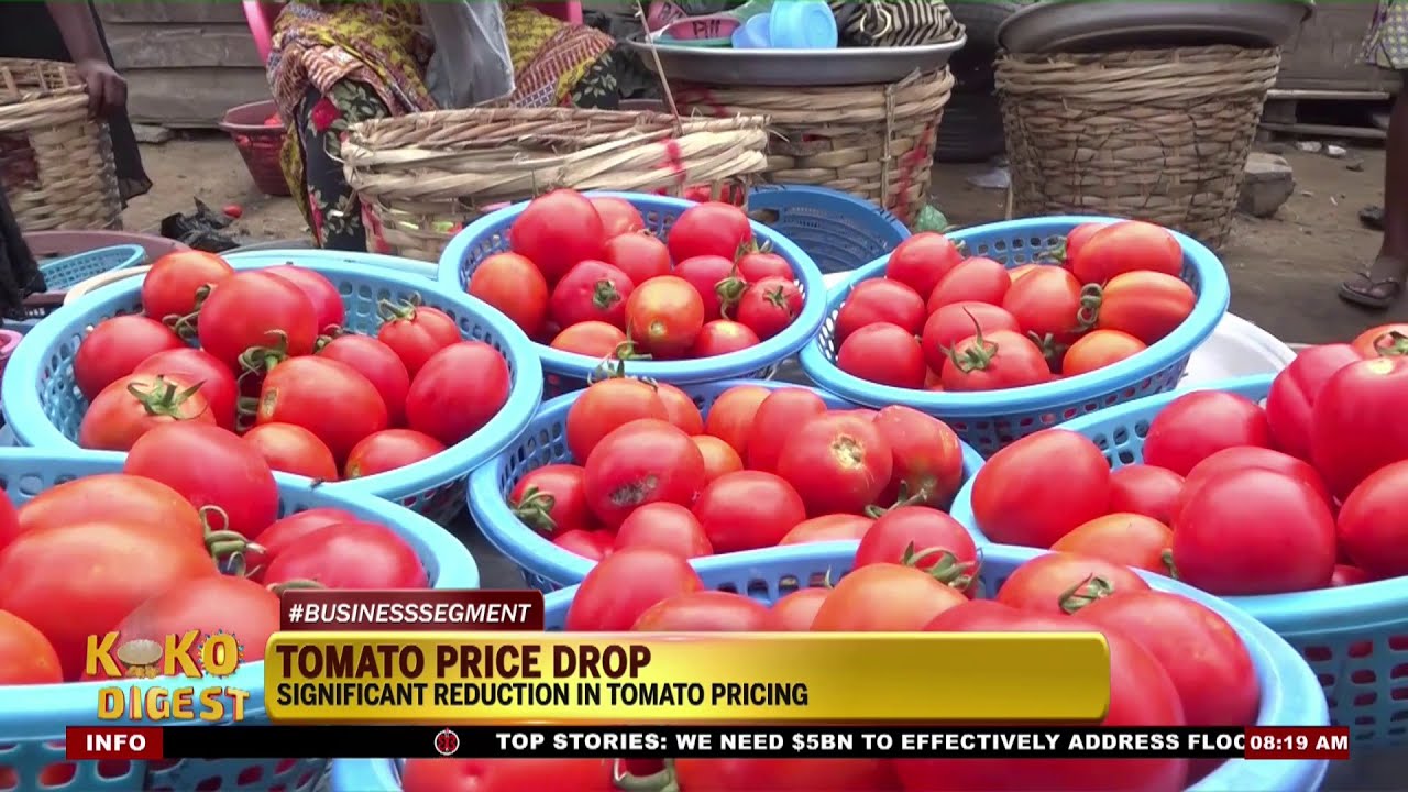 Tomato Price: Tomatoes experience a notable price drop. - YouTube