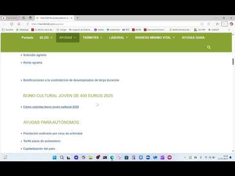 Guía de ayudas públicas 2025. Prof. Ingeniero Informático Eduardo Rojo Sánchez. - YouTube