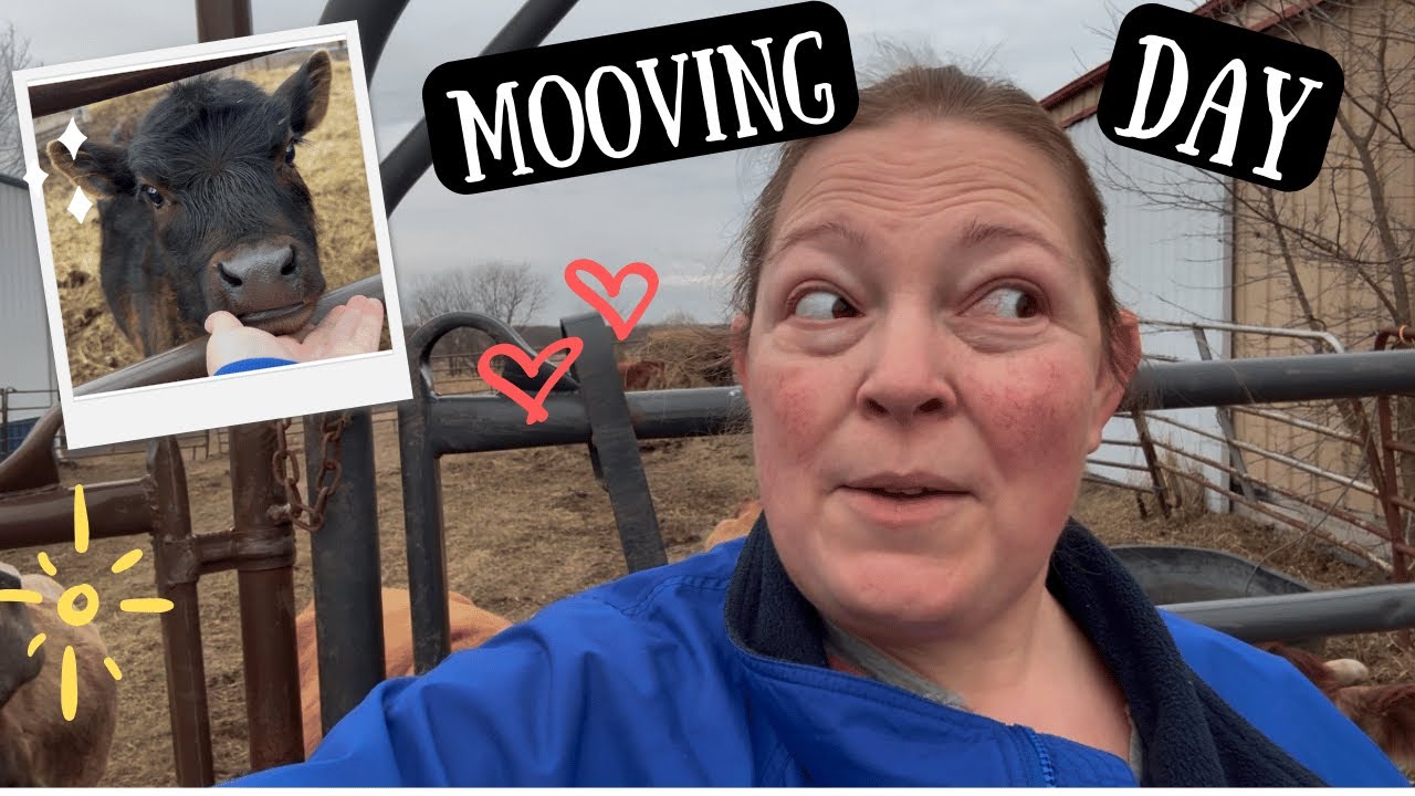 Tearing Down & Rebuilding a Pen | Relocating Animal Enclosures - YouTube