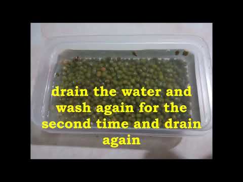 How to make toge (sprouted beans) - YouTube