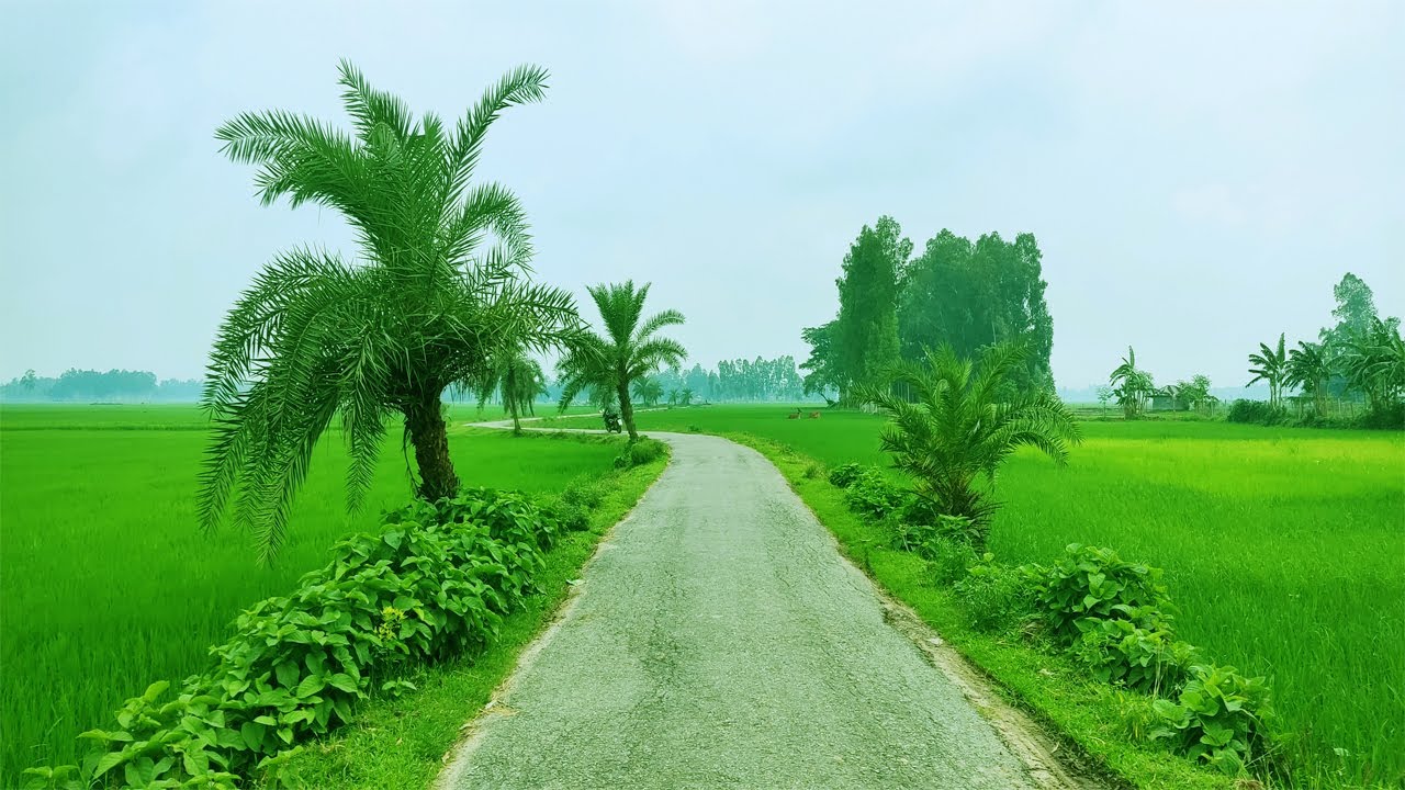 Beautiful Village in Bangladesh Village Area View | Dinajpur Bangladesh ...