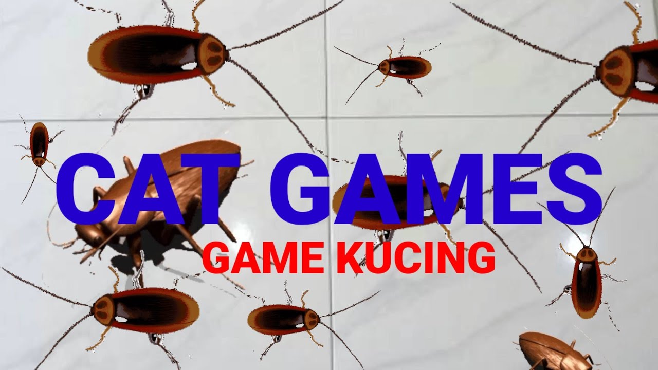 CAT GAME-game kucing || kecoak bergerak mainan kucing - YouTube
