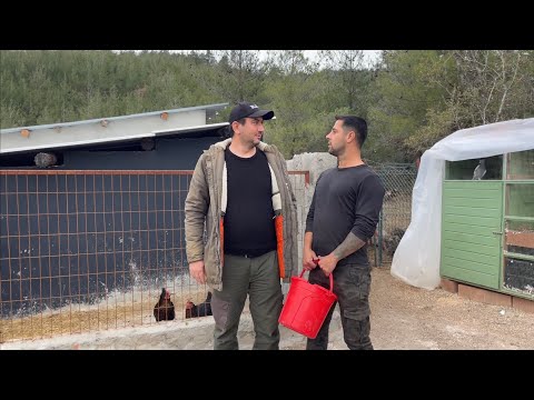 SİNAN SAGUT GELCEĞİNE PİŞMAN OLDU😆@sinansagut