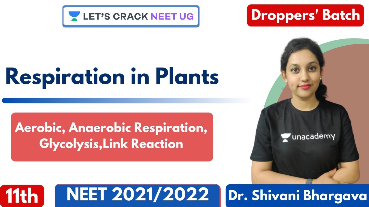 Respiration in Plants - Aerobic, Anaerobic Respiration, Glycolysis ...
