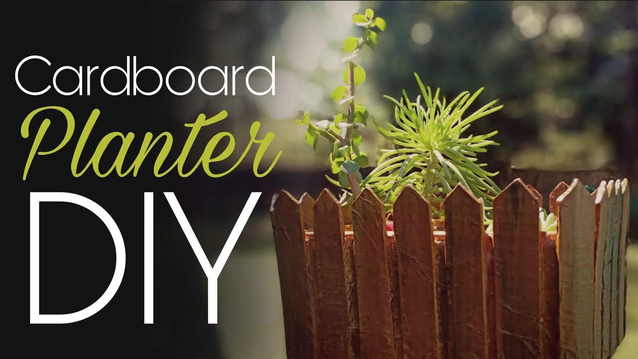 Cardboard Planter DIY | Best Out of Waste | Recycle Plastic Boxes ...