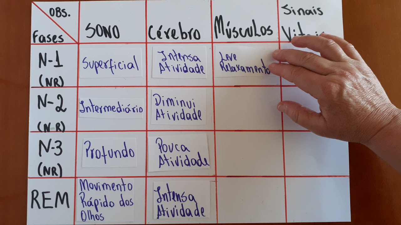 Fases do sono (fases não REM e REM) - YouTube