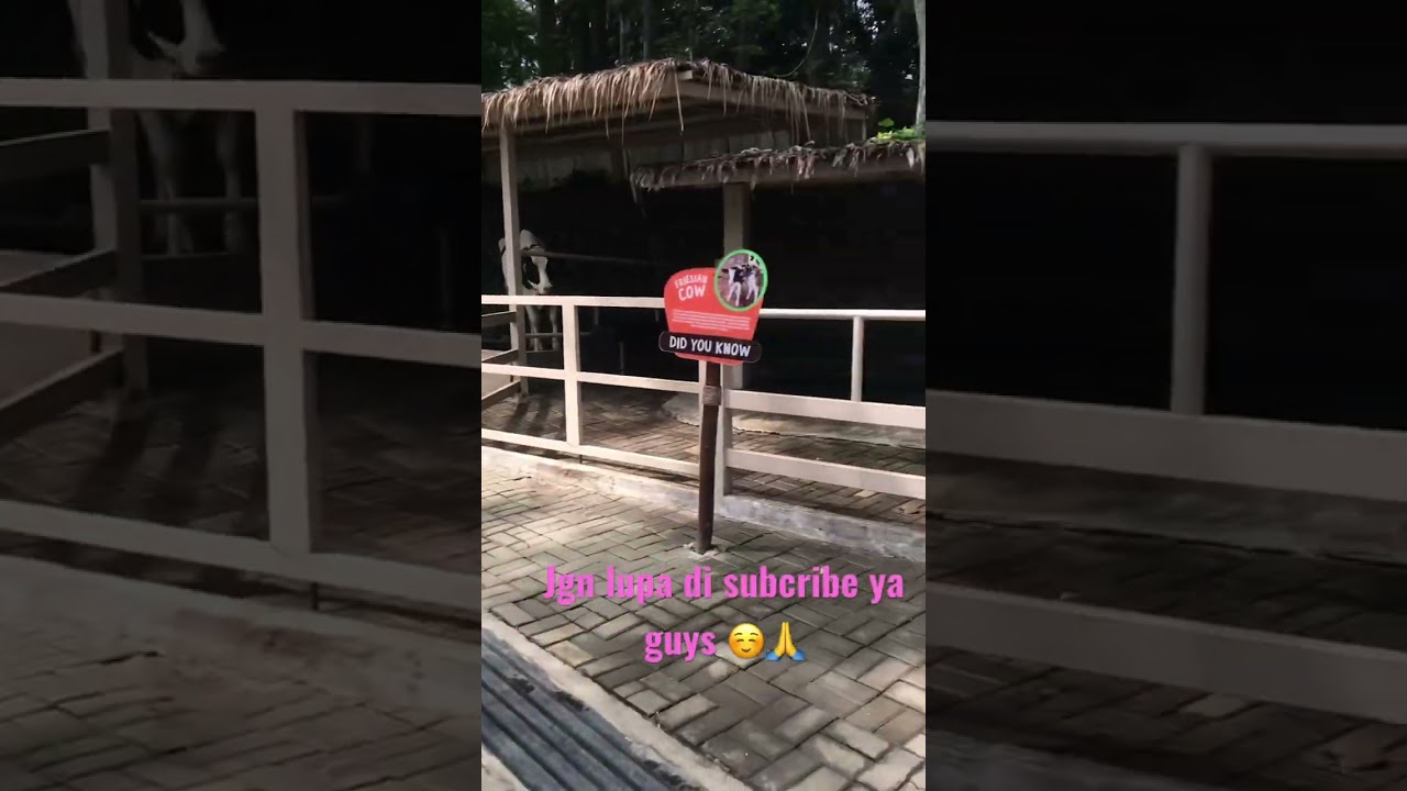 29 Agustus 2022 - YouTube