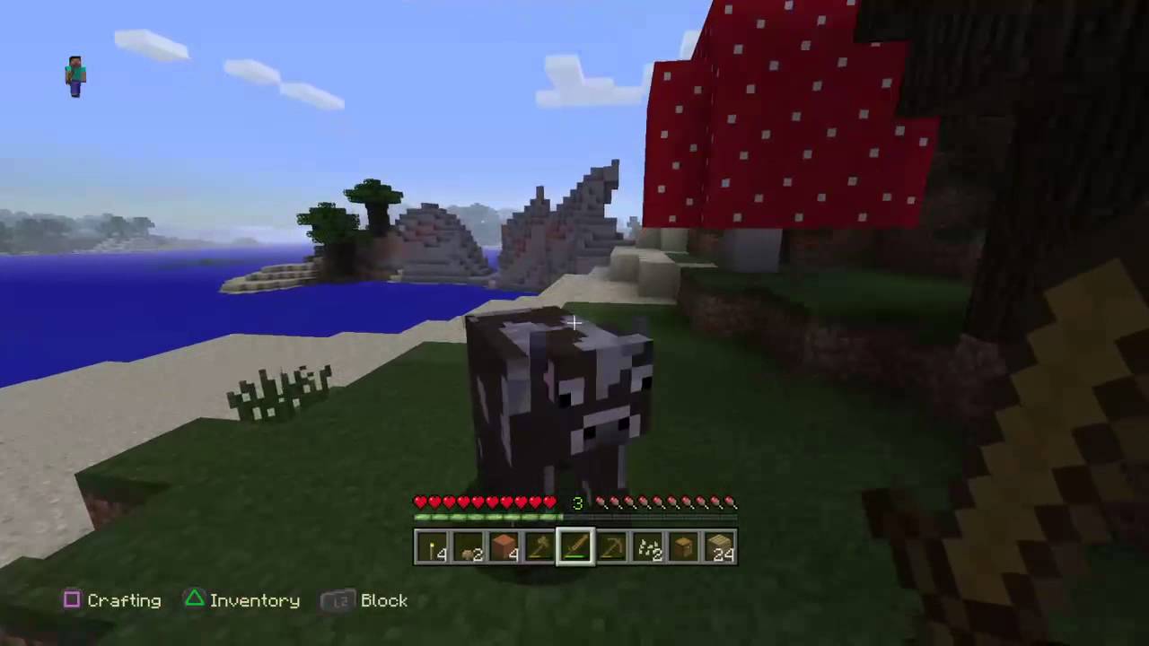 MineCraft New Start - YouTube