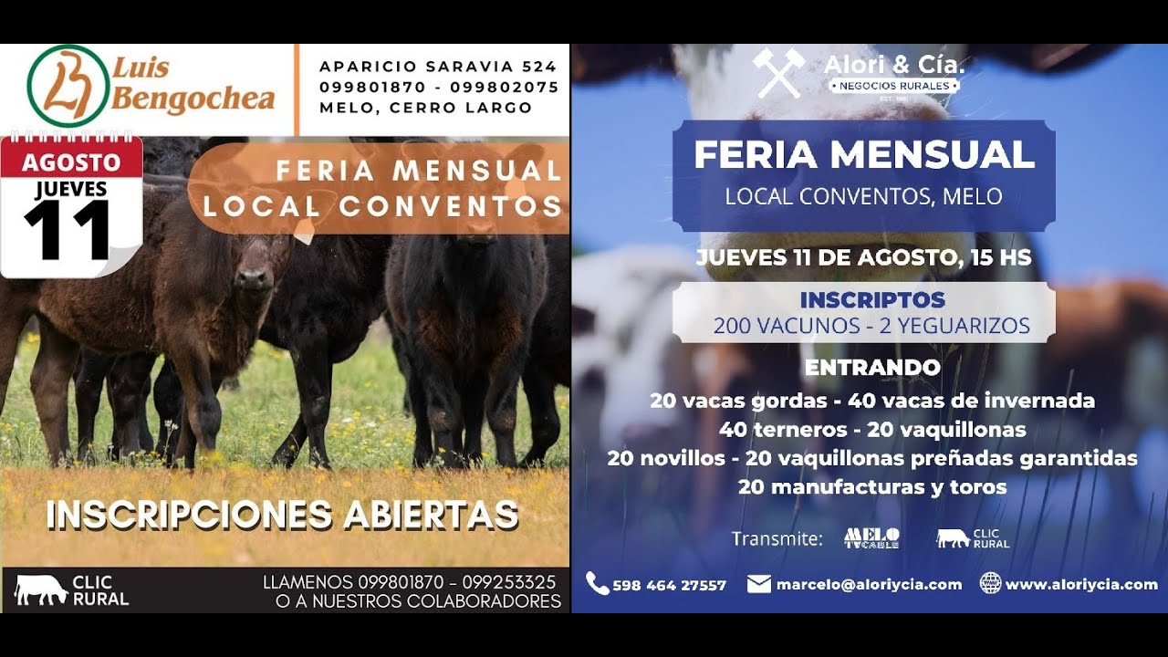 11/08/2022 Local Conventos - Bengochea SRL, Luis A. - YouTube