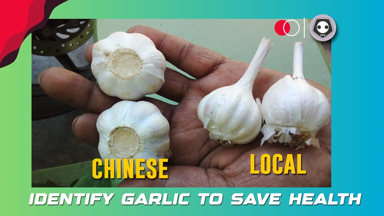 How to Identify Chinese Garlic & he@lth $ide effectYouTube - YouTube