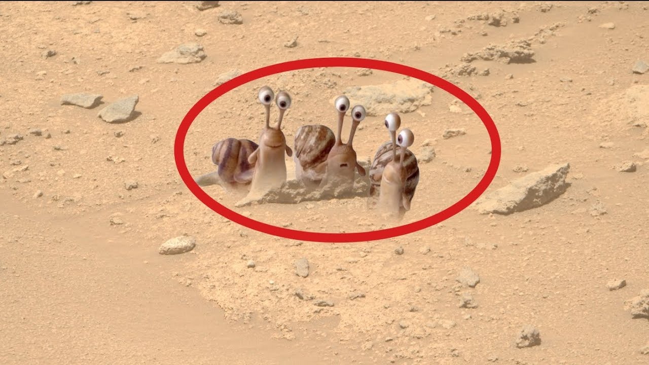 NASA Recently Released a New 4k Video of Mars ||Mars 4k Video|| - YouTube