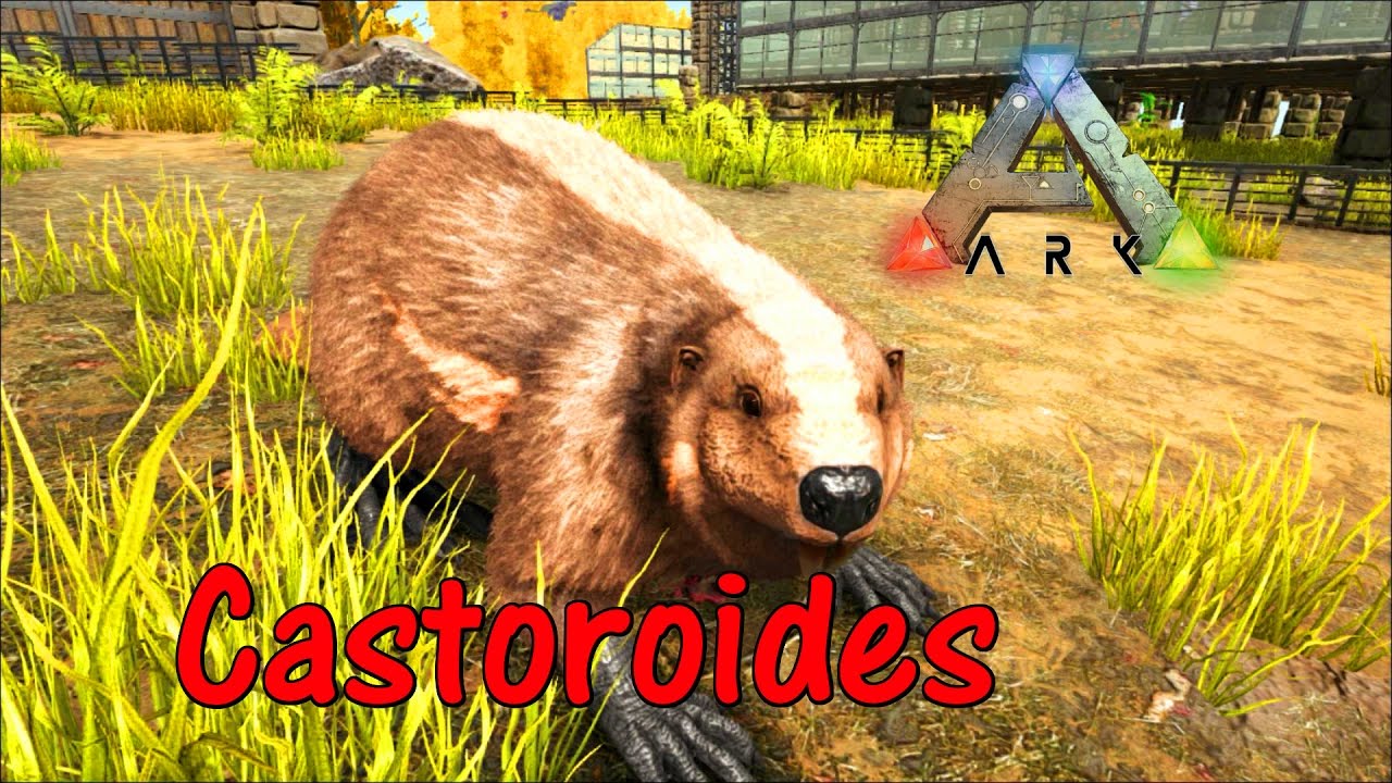 Castoroides Educational Special - Giant Beaver! [13] - YouTube