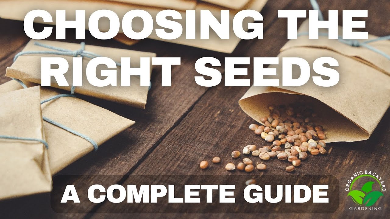 Choosing the Right Seeds for Your Garden: A Complete Guide - YouTube