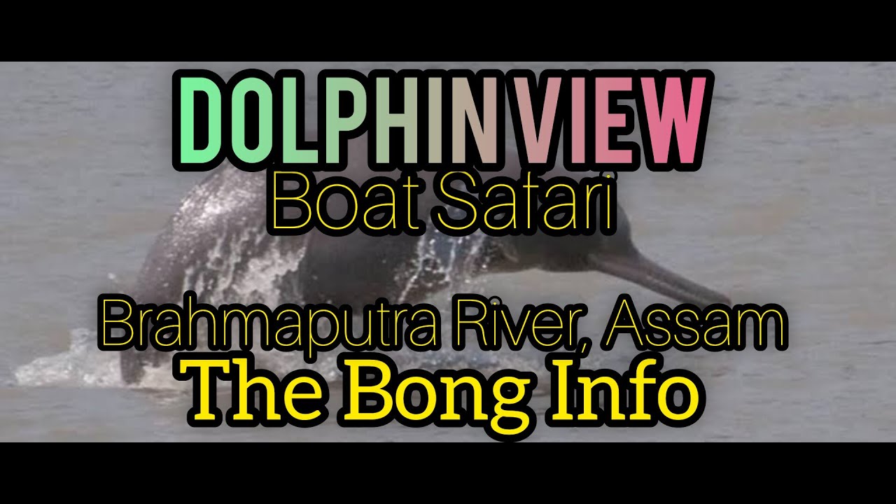 Dolphin View I Boat Safari I Brahmaputra River I Dolphin Point I ...
